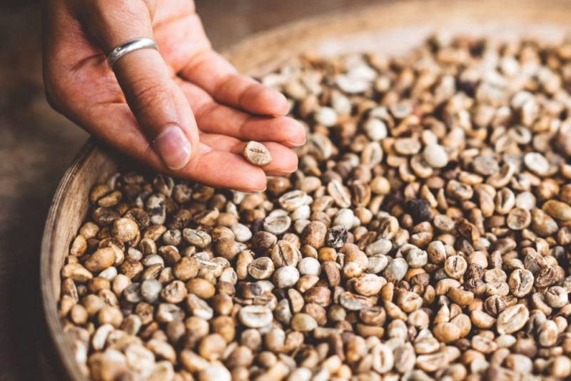 Ozone Grain & Feed Disinfection | Absolute Ozone
